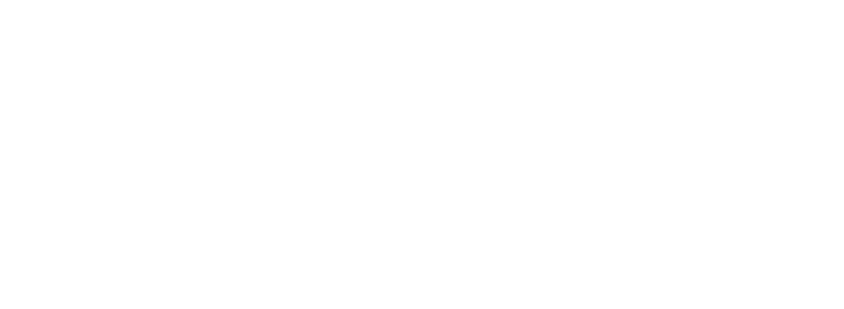 FAST FALCONS – Florida Aquatics Swimming Training